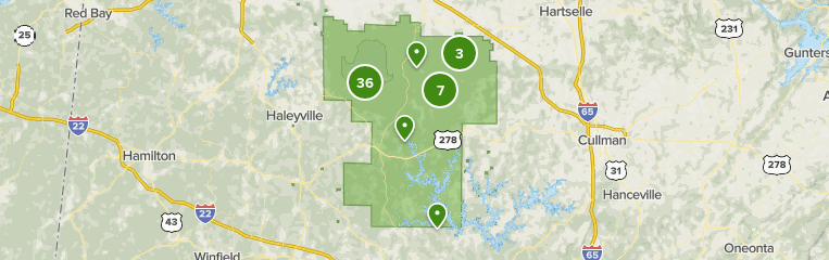 Best trails in William B Bankhead National Forest, Alabama | AllTrails