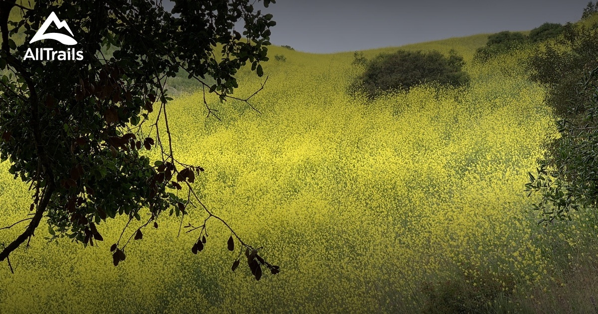 10 Best hikes and trails in Whiting Ranch Wilderness Park | AllTrails