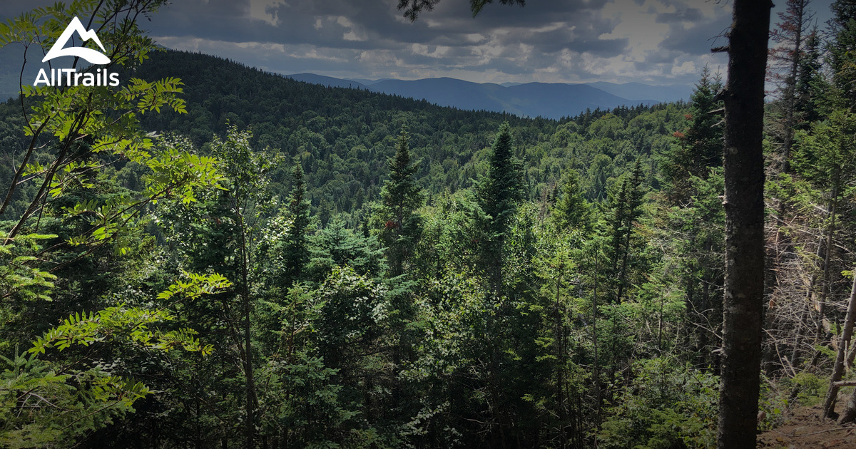 De beste zware routes in Ice Gulch Town Forest | AllTrails