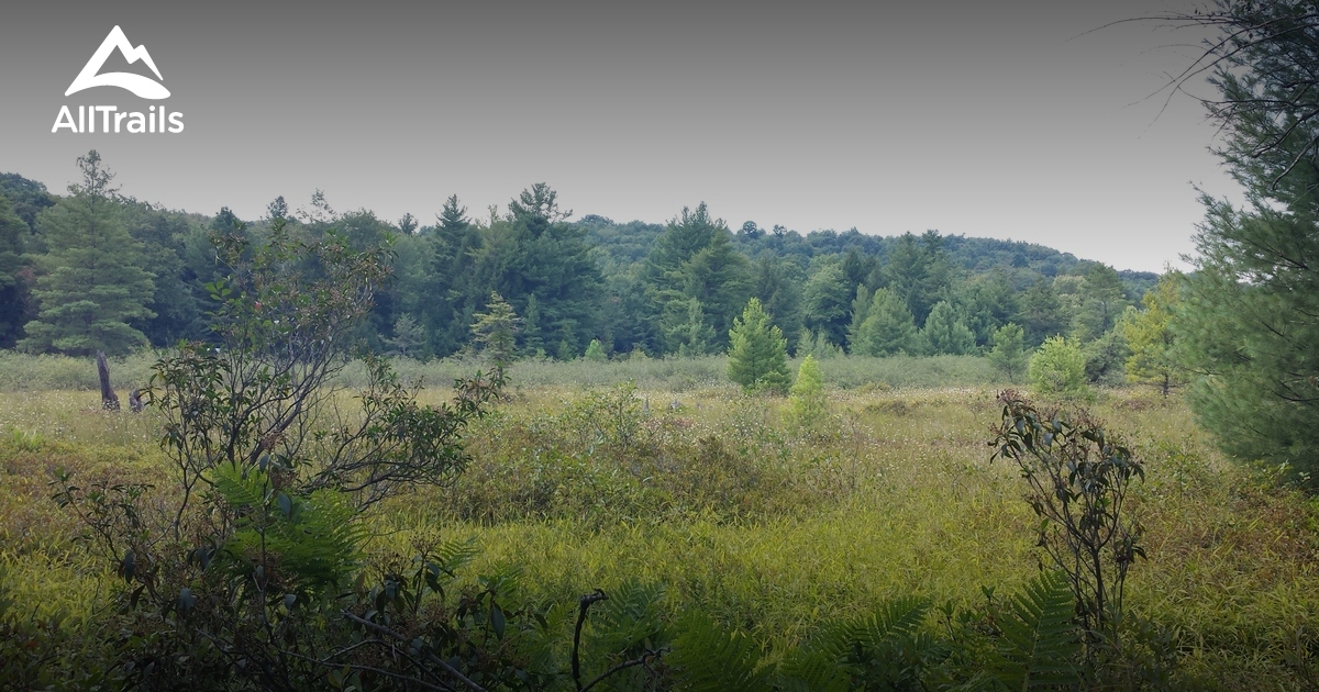 Best Trails in Sproul State Forest - Pennsylvania | AllTrails