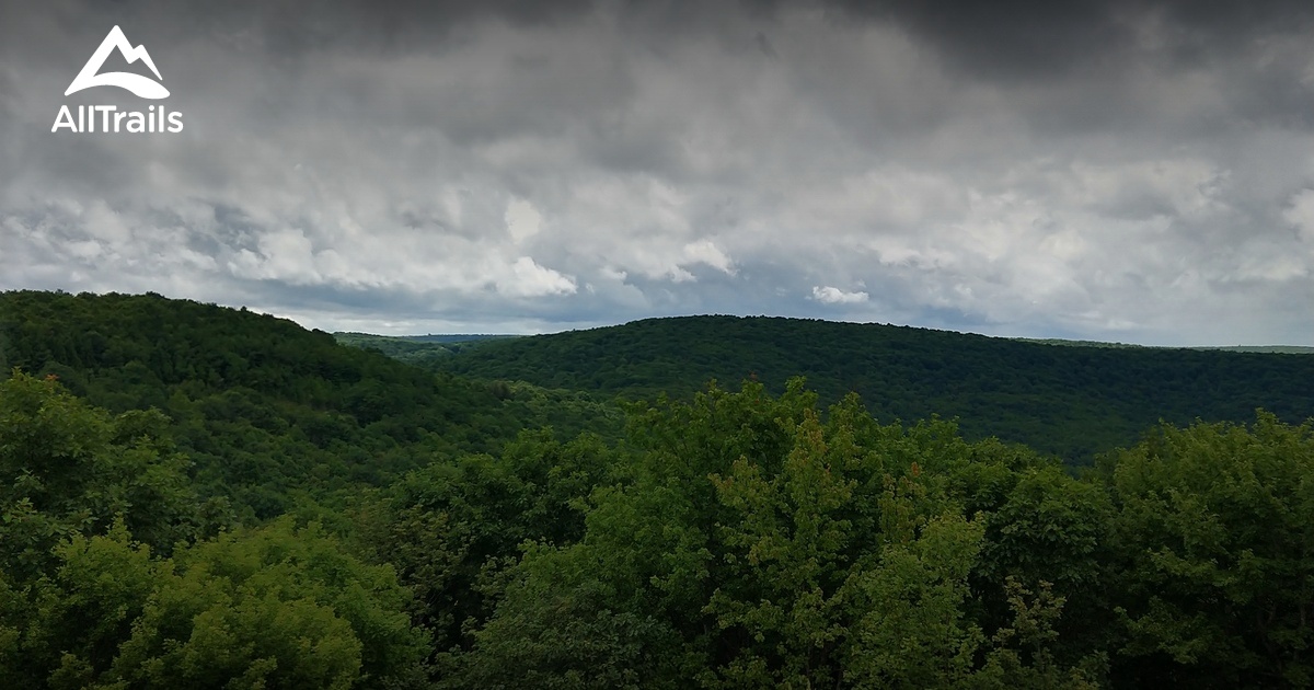 10 Best hikes and trails in Sproul State Forest | AllTrails