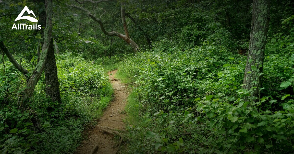 Best bird watching trails in Soldiers Delight Natural Environmental ...