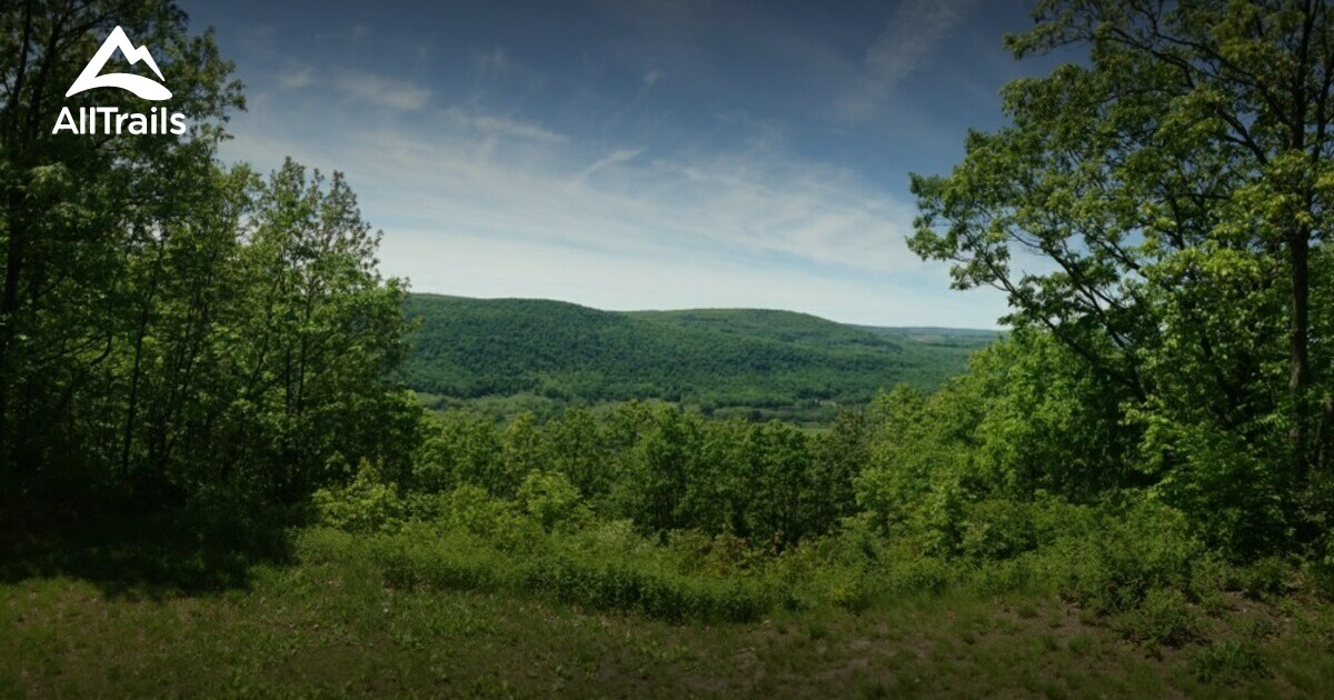 Danby State Forest : les meilleurs parcours de trail | AllTrails