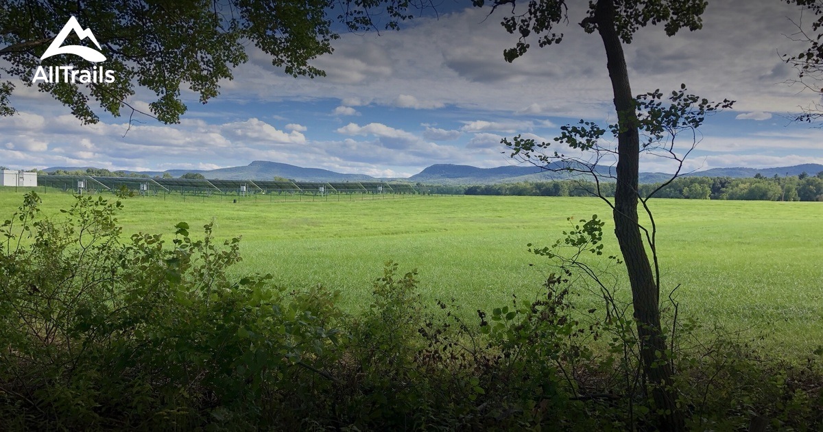 Best hikes and trails in J Elwell Conservation Area | AllTrails