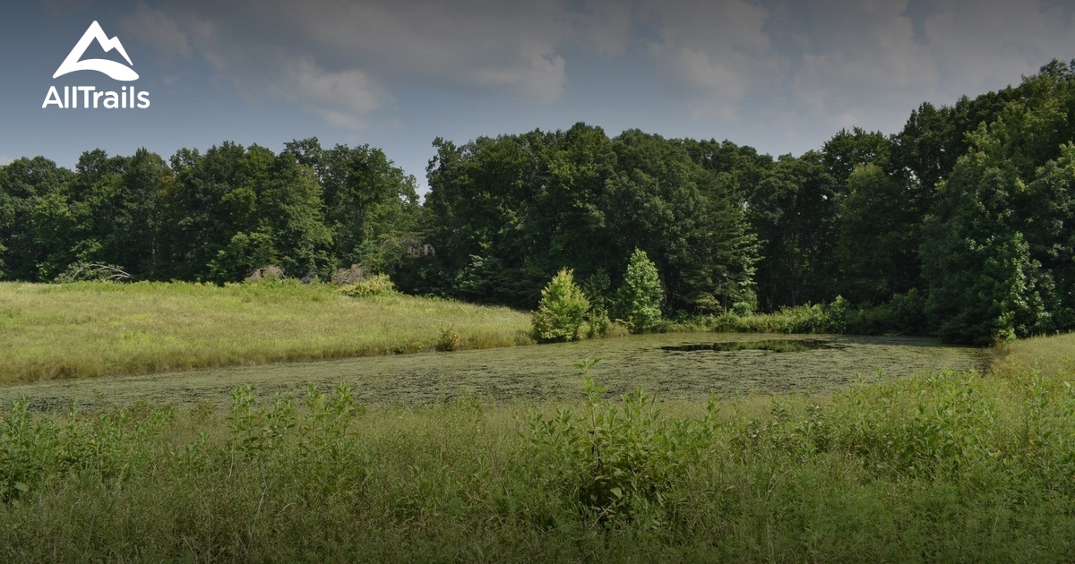 Best hikes and trails in Scott State Forest | AllTrails