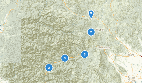 Best Trails in Tillamook State Forest | AllTrails.com