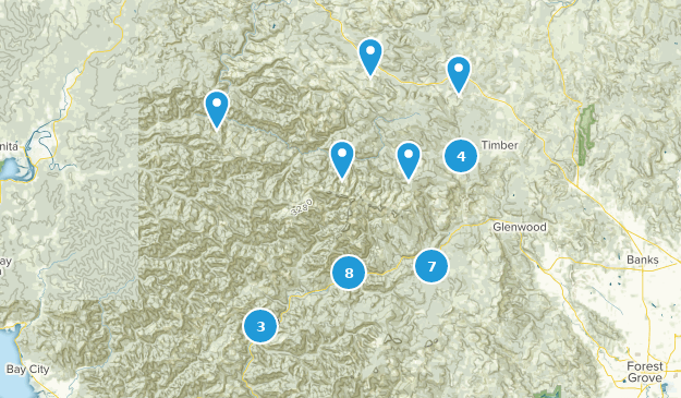 Best Trails in Tillamook State Forest - Oregon | AllTrails