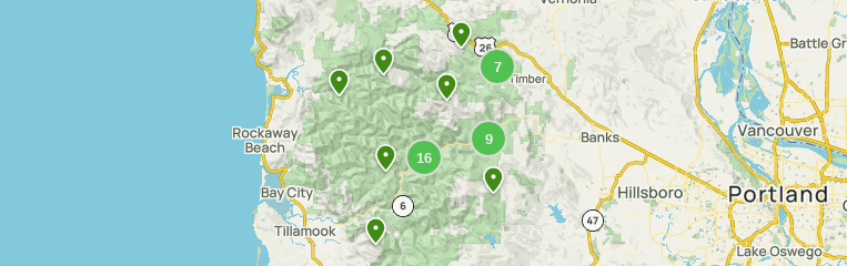 10 Best Hikes and Trails in Tillamook State Forest | AllTrails