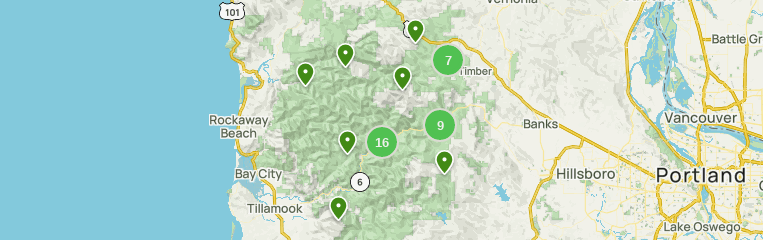 10 Best Hikes and Trails in Tillamook State Forest | AllTrails