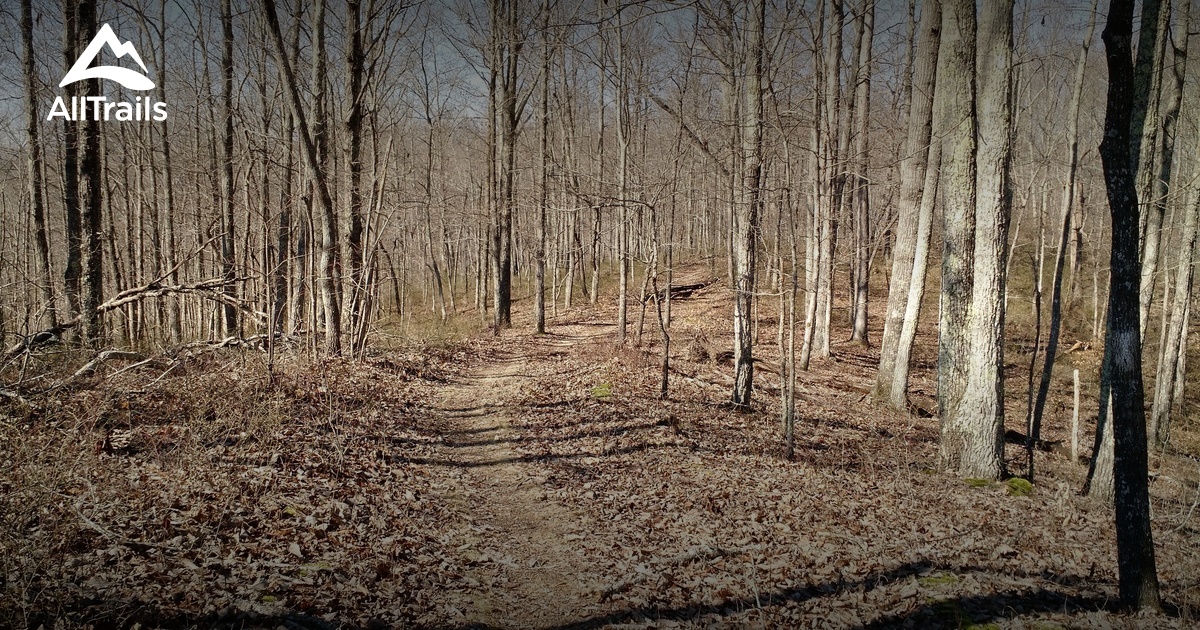 Best hikes and trails in Devils Backbone State Natural Area | AllTrails