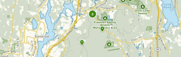 Best Trails in Freetown Fall River State Forest - Massachusetts | AllTrails