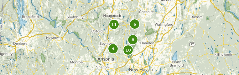 Best Trails in Naugatuck State Forest - Connecticut | AllTrails