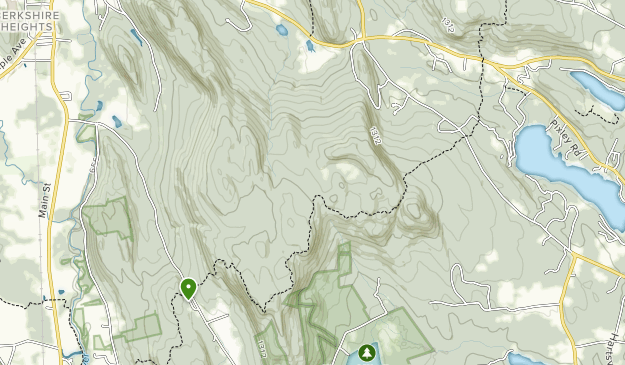 Best Trails in East Mountain State Forest - Massachusetts | AllTrails