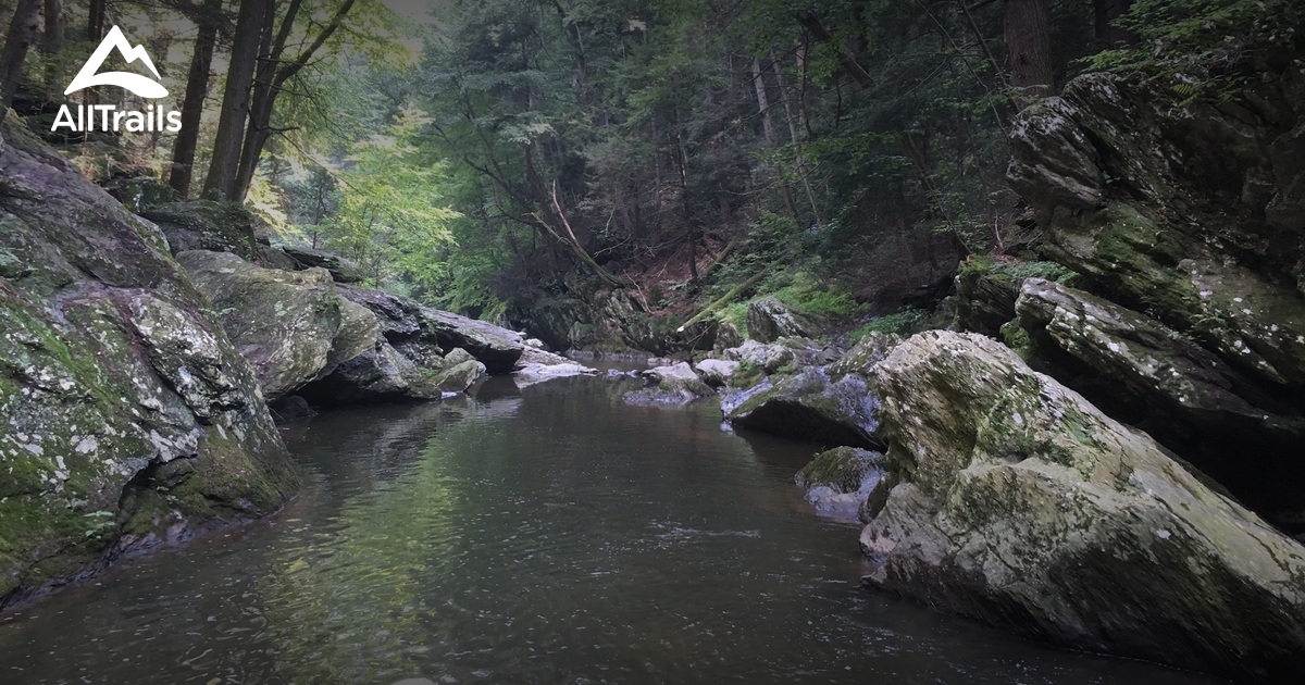 10 Best hikes and trails in Prettyboy Reservoir Cooperative Wildlife ...