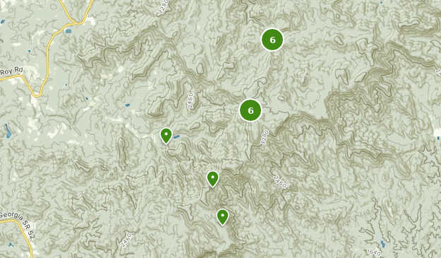 Best Trails in Blue Ridge Wildlife Management Area - Georgia | AllTrails