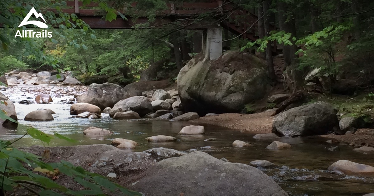 Best Trails in Hemenway State Forest - New Hampshire | AllTrails
