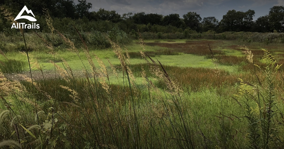 Best hikes and trails in Quail Ridge Park | AllTrails