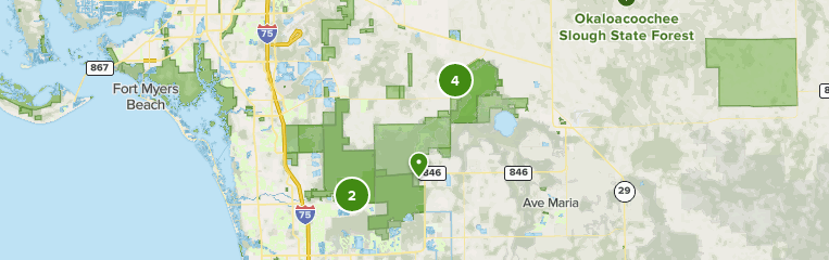 I migliori sentieri in Corkscrew Regional Ecosystem Watershed | AllTrails