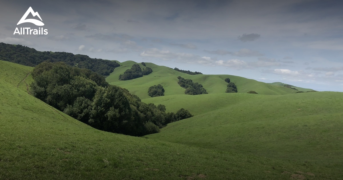 Best Trails in Pleasanton Ridge Regional Park - California | AllTrails