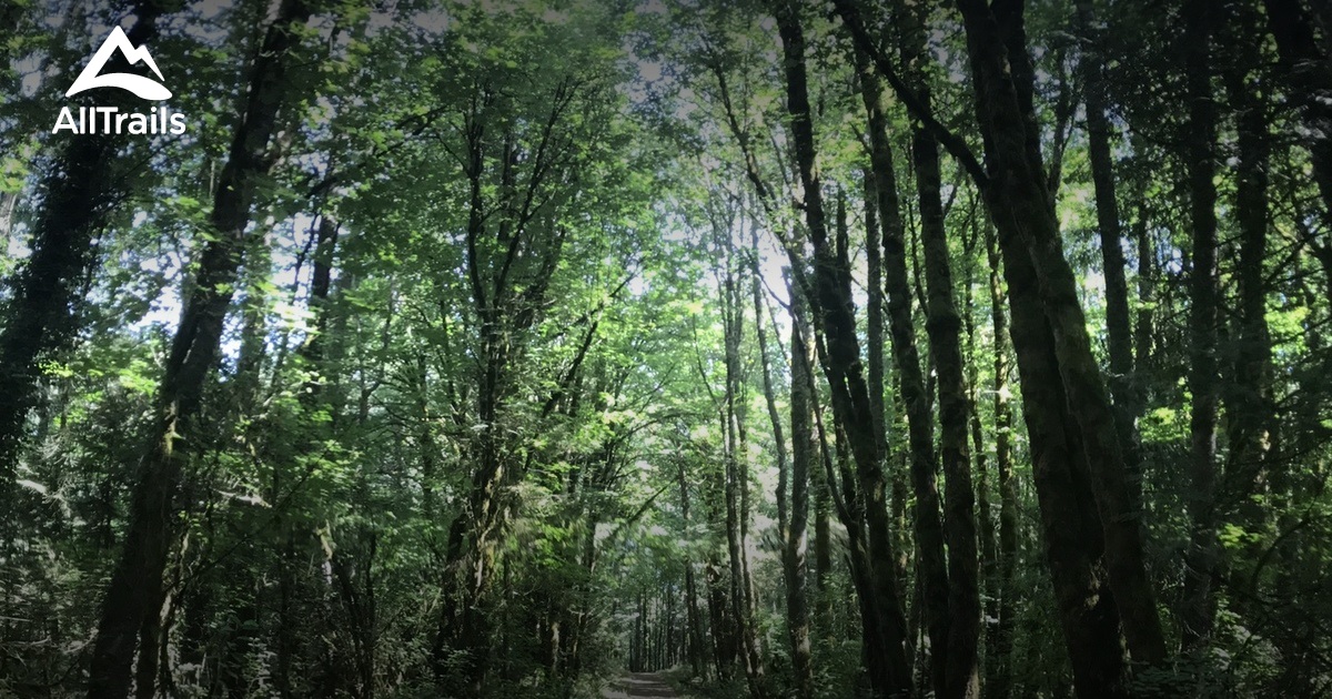 Best river trails in Linnton Park | AllTrails