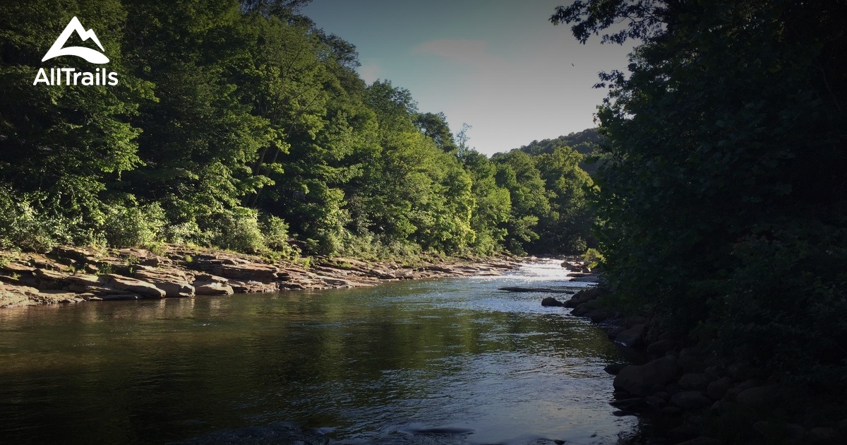 Best hikes and trails in Potomac State Forest | AllTrails