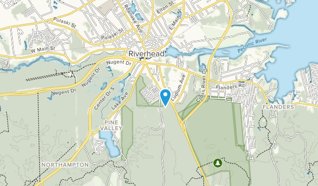 Best Trails in Peconic Bog County Park - New York | AllTrails