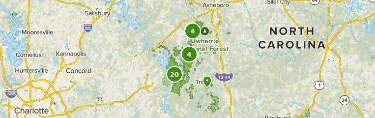 Best Trails in Uwharrie National Forest - North Carolina | AllTrails
