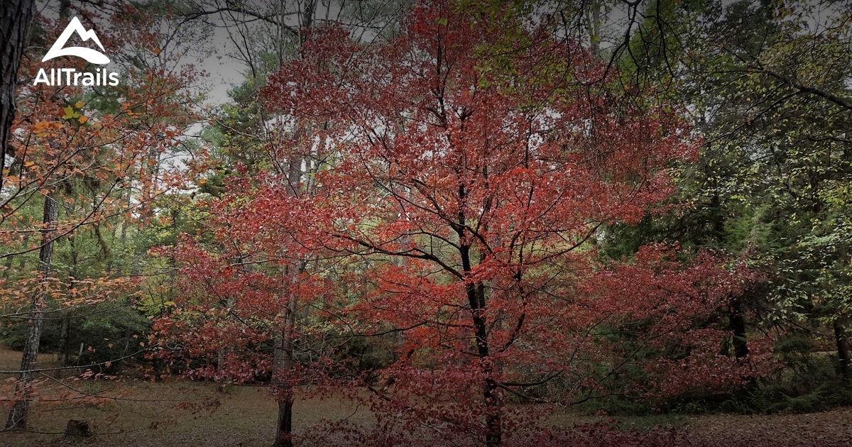 Best hikes and trails in Bowers Park | AllTrails