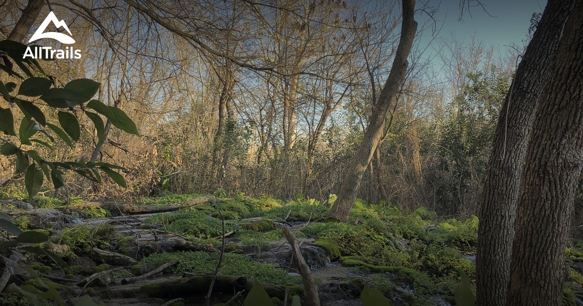 Best hikes and trails in Bootys Road Park | AllTrails