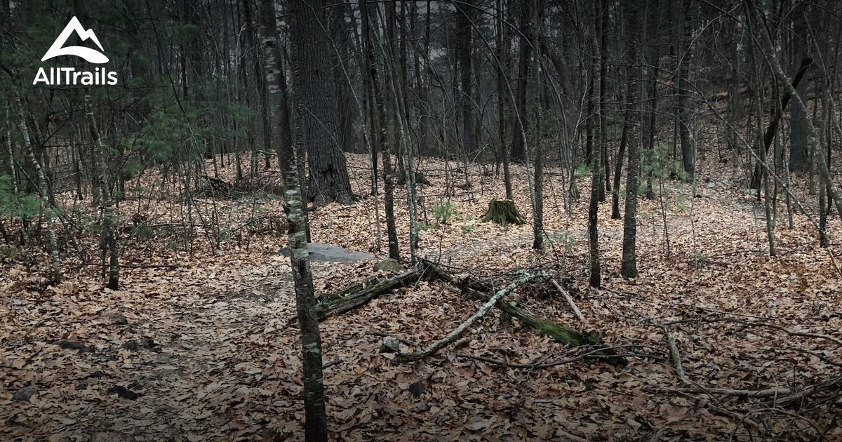 Best Trails in Willowdale State Forest - Massachusetts | AllTrails