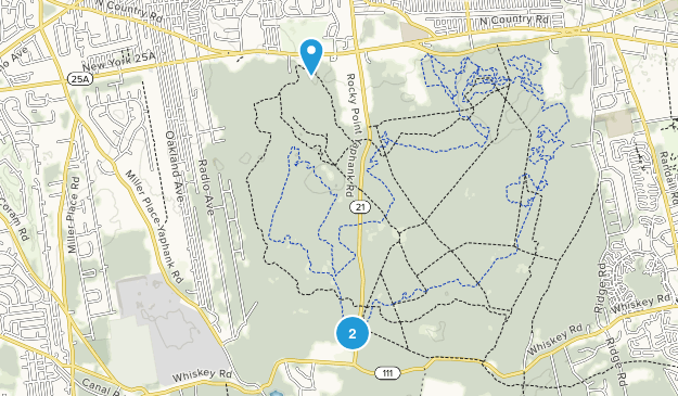 Best Trails in Rocky Point State Pine Barrens Preserve - New York ...