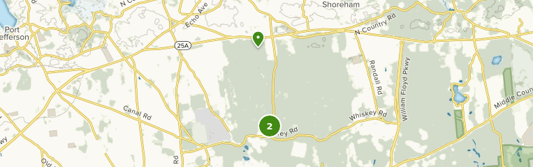 Best Trails in Rocky Point State Pine Barrens Preserve - New York ...