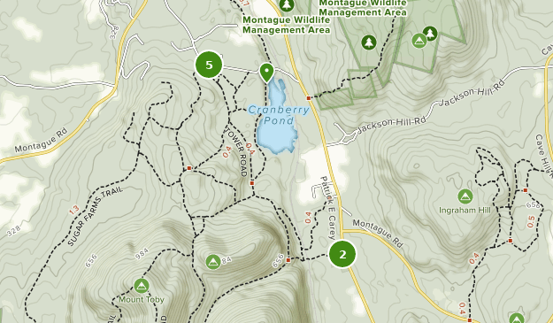 Best Trails in Mount Toby State Forest - Massachusetts | AllTrails