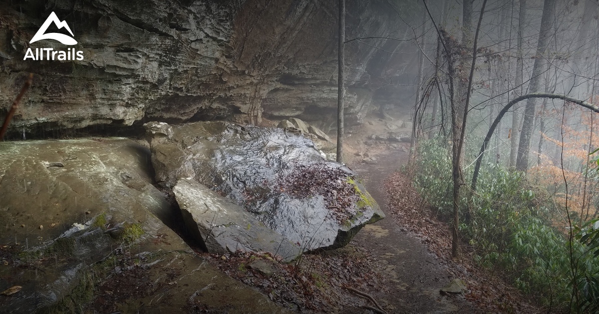 Best Trails in Jackson Washington State Forest - Indiana | AllTrails