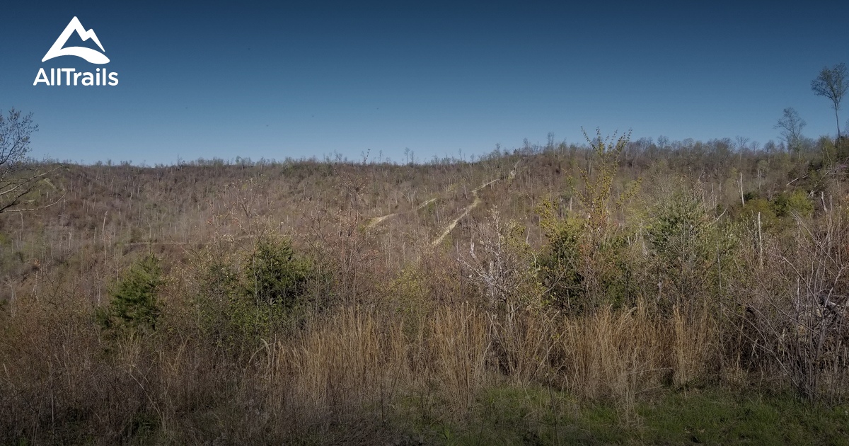 Best Trails in Jackson Washington State Forest - Indiana | AllTrails