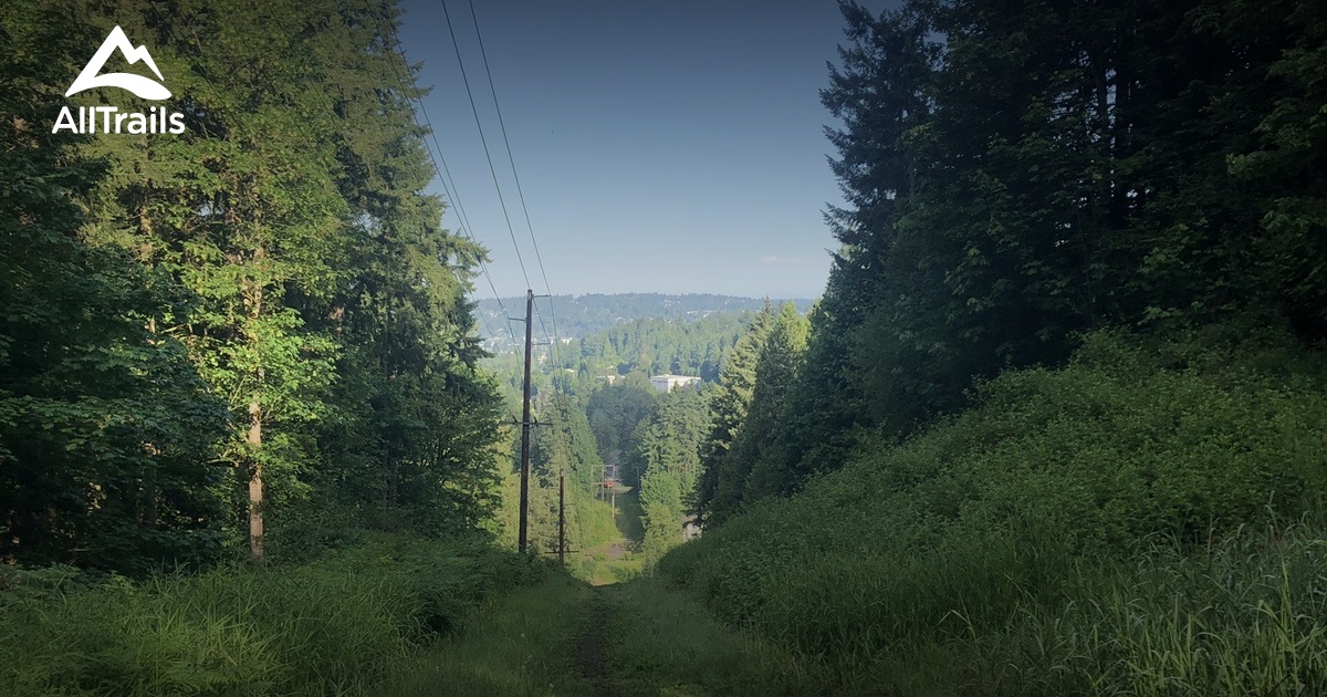 Best hikes and trails in Blyth Park | AllTrails