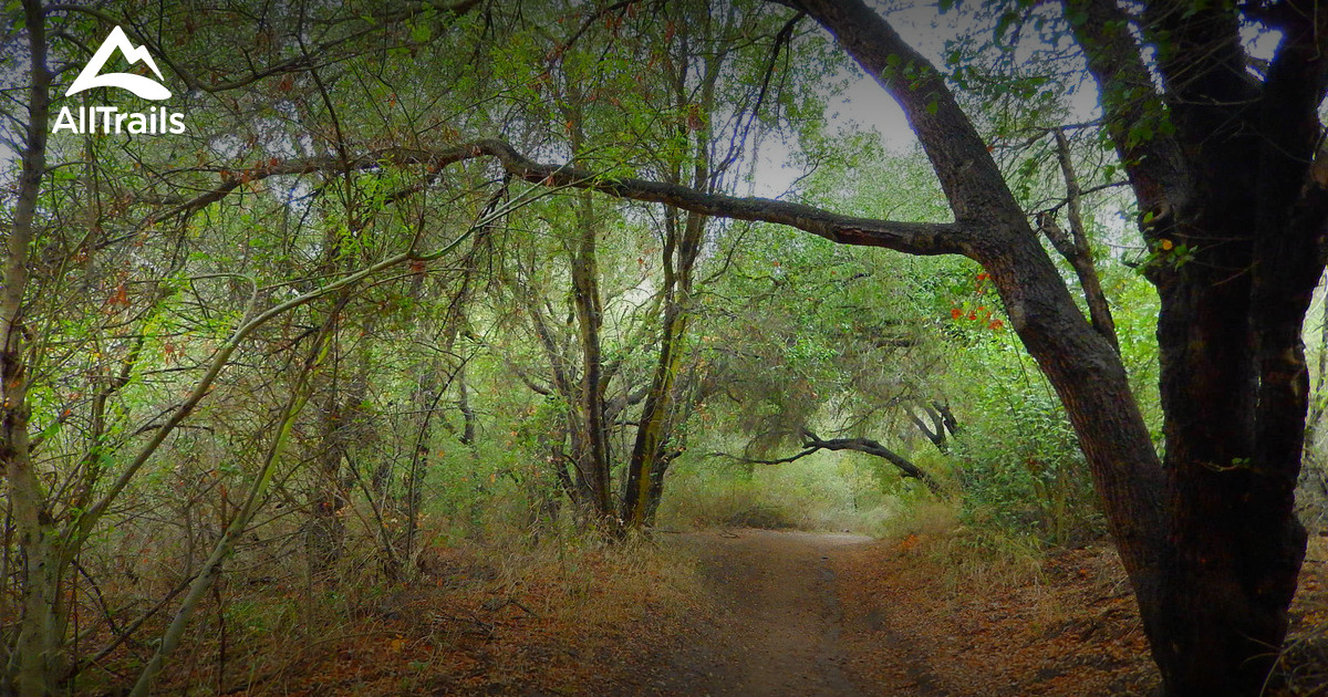 Best Trails in Escondido Canyon Park - California | AllTrails