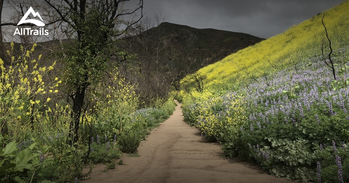 Best hikes and trails in Escondido Canyon Park | AllTrails