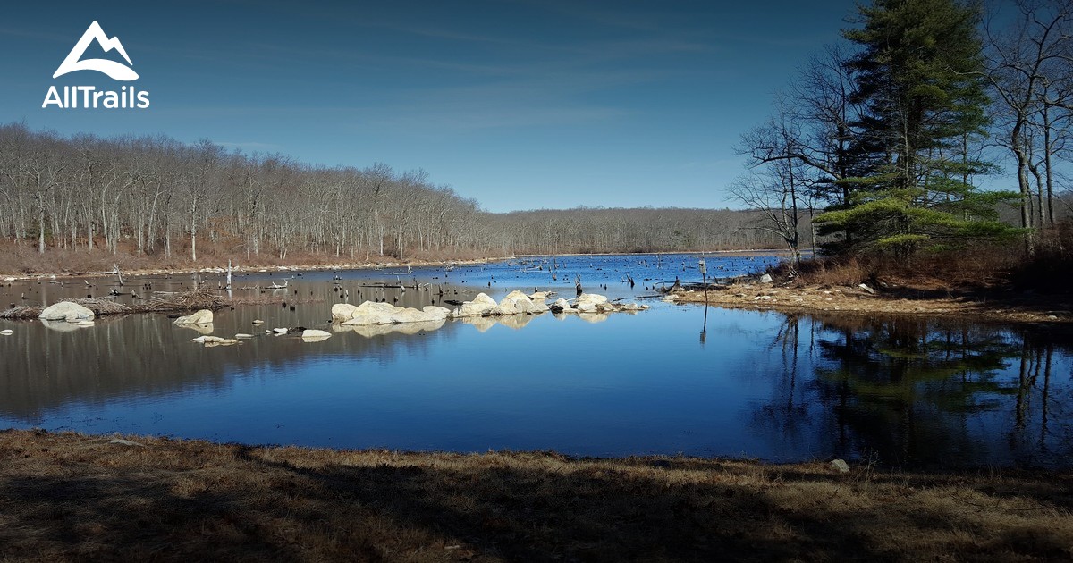 Best Trails in James L Goodwin State Forest - Connecticut | AllTrails