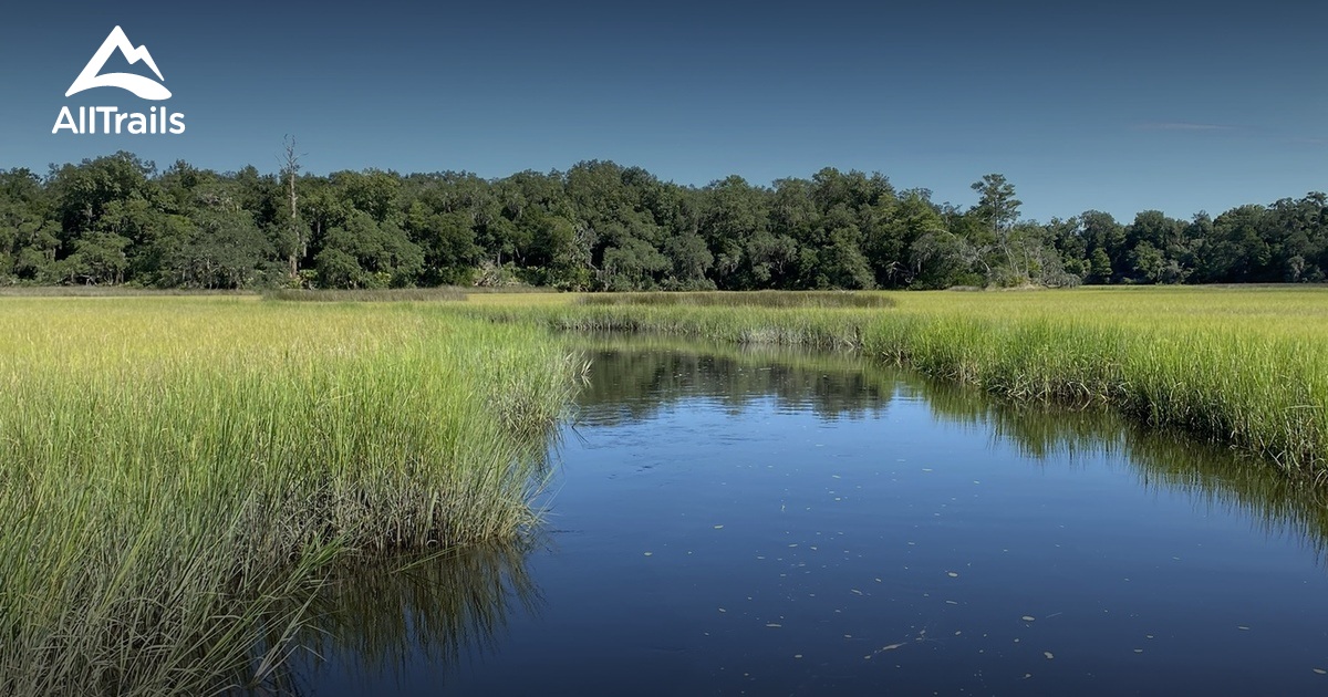 Best bird watching trails in Moses Creek Conservation Area | AllTrails