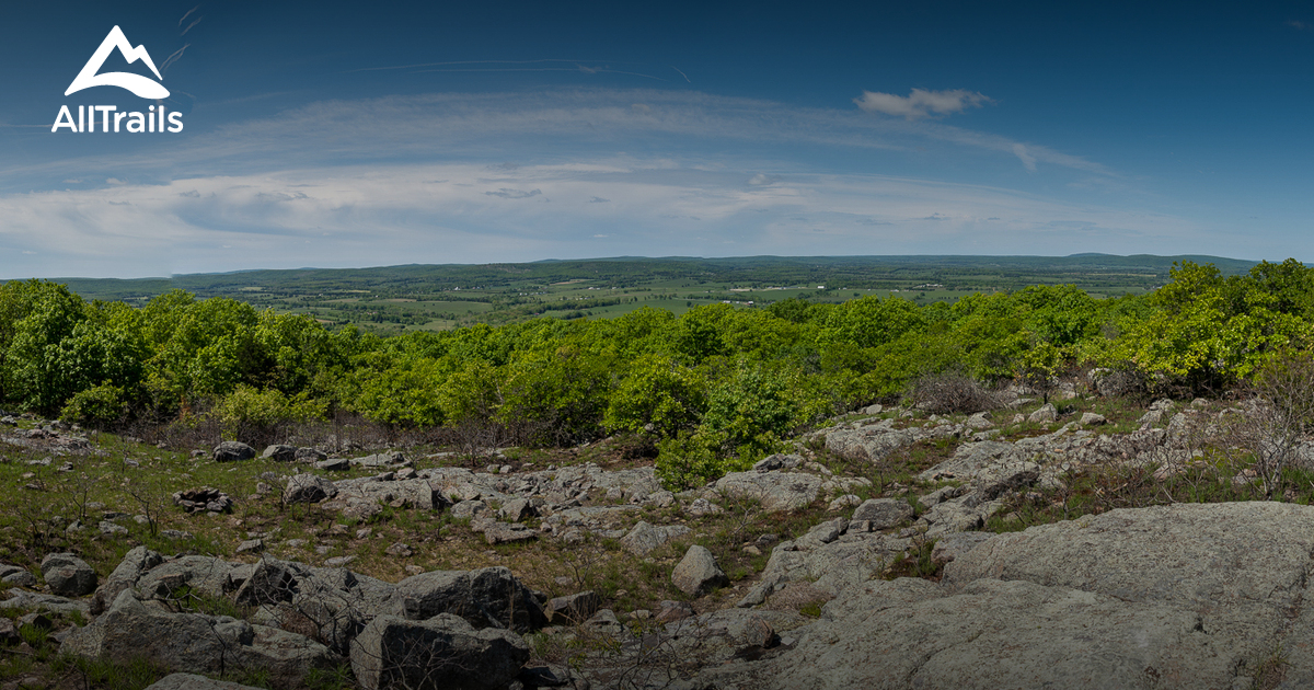 Best hikes and trails in Buford Mountain Conservation Area | AllTrails