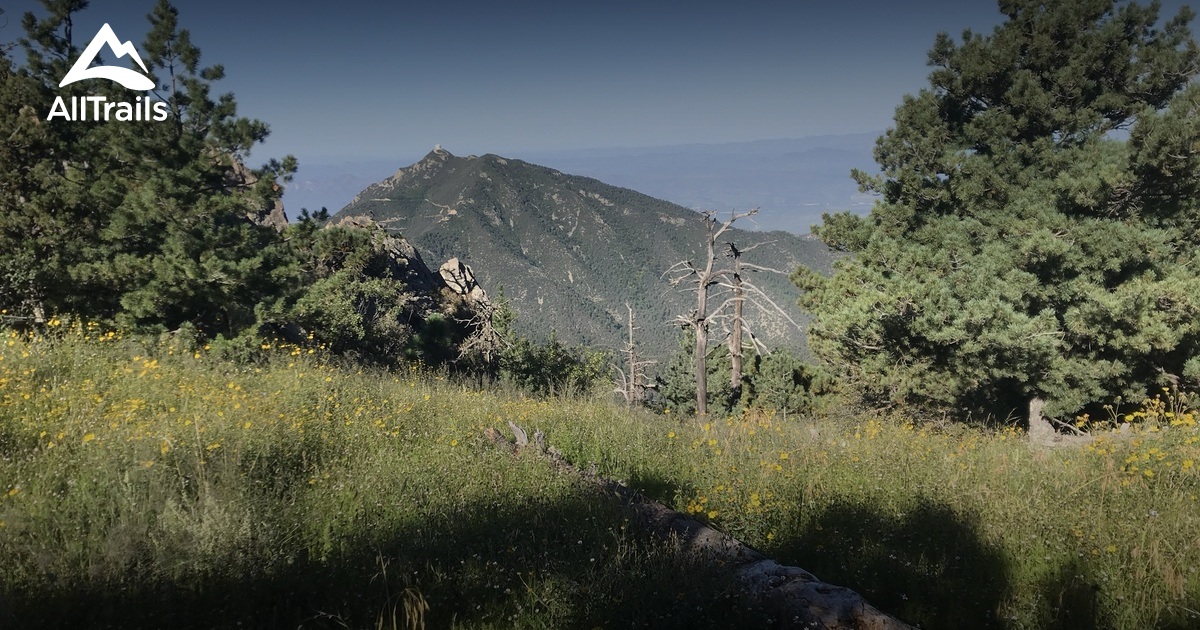 10 Best hikes and trails in Mount Wrightson Wilderness | AllTrails