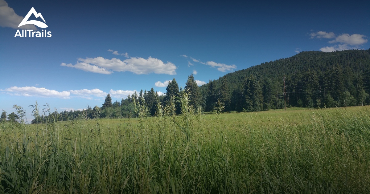 Best Trails in Meyer Ranch Park - Colorado | AllTrails