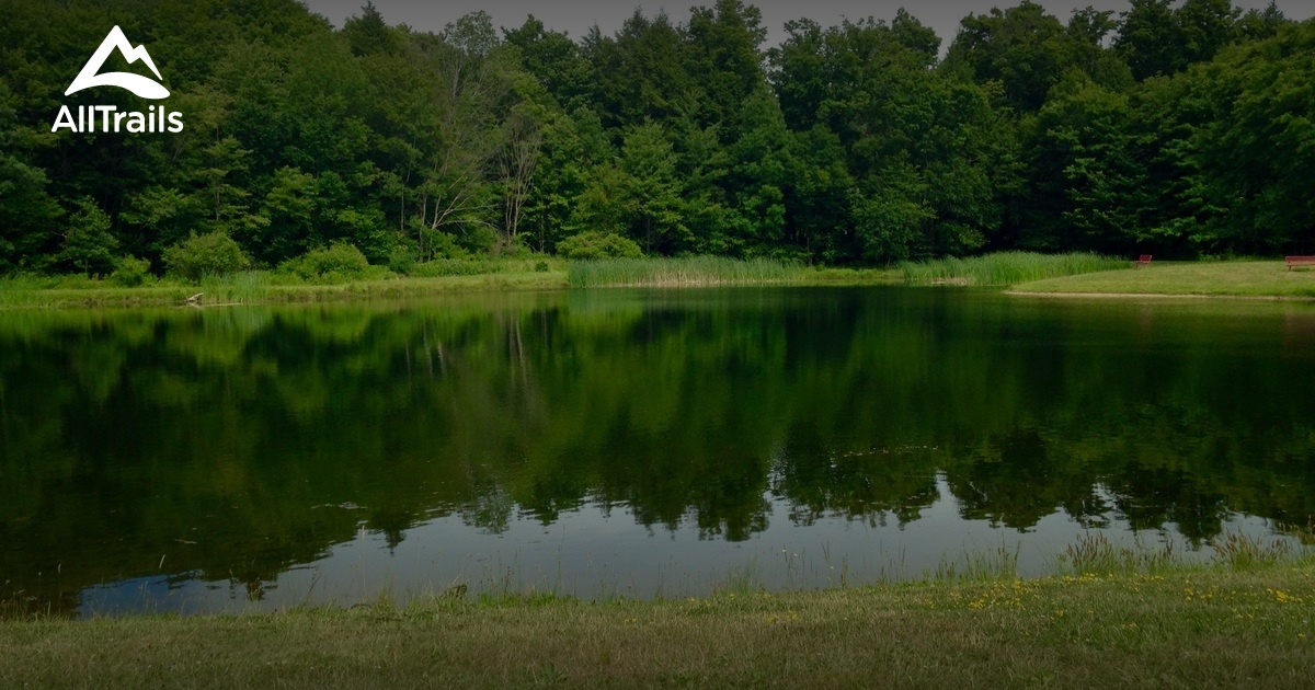 Best hikes and trails in Spraque Brook County Park | AllTrails