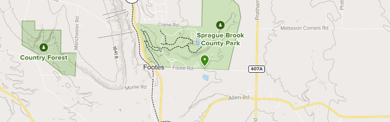 Best Hikes and Trails in Spraque Brook County Park | AllTrails