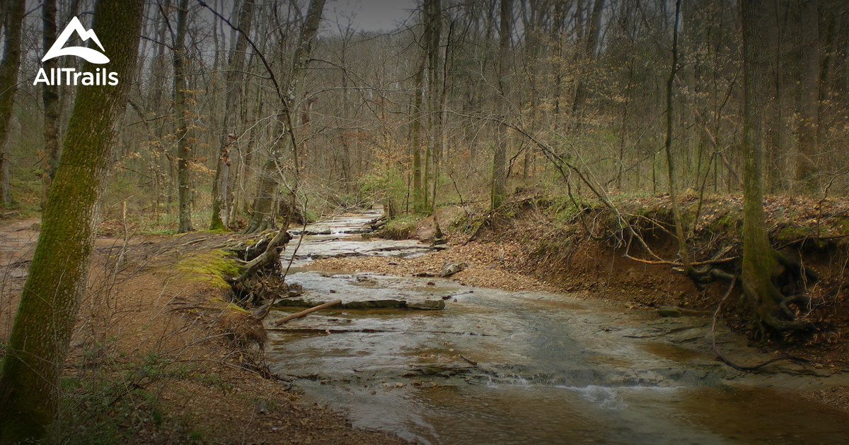 Best Trails in Rotary Park - Tennessee | AllTrails