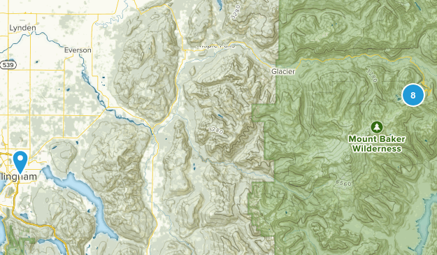 Best Trails in Mt Baker Ski Area - Washington | AllTrails