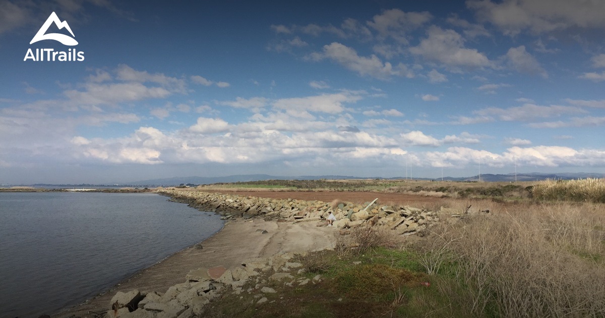 Best Hikes and Trails in Hayward Regional Shoreline | AllTrails