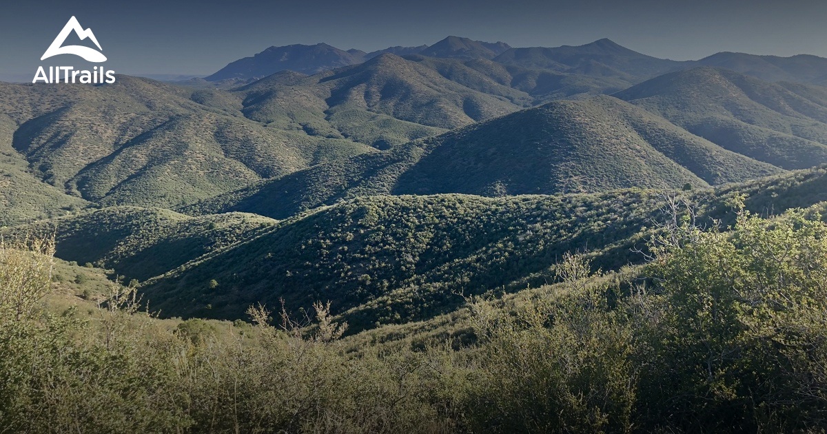 Best hikes and trails in Watson Woods Riparian Preserve | AllTrails