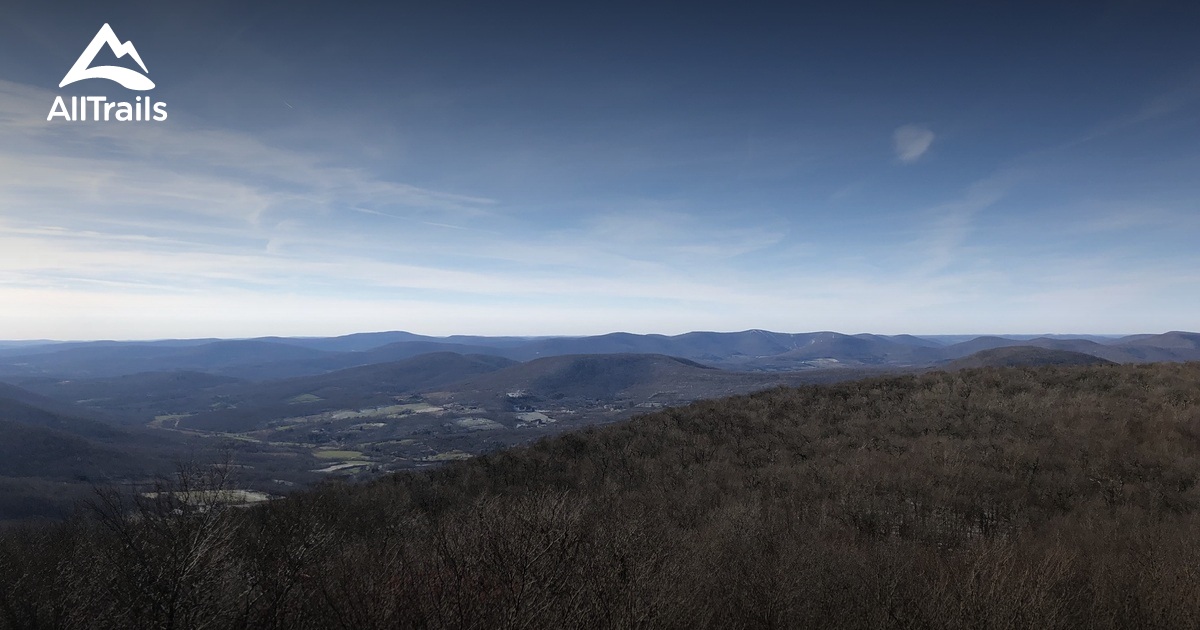 Bästa lederna för hundar i koppel i Bearpen Mountain State Forest ...